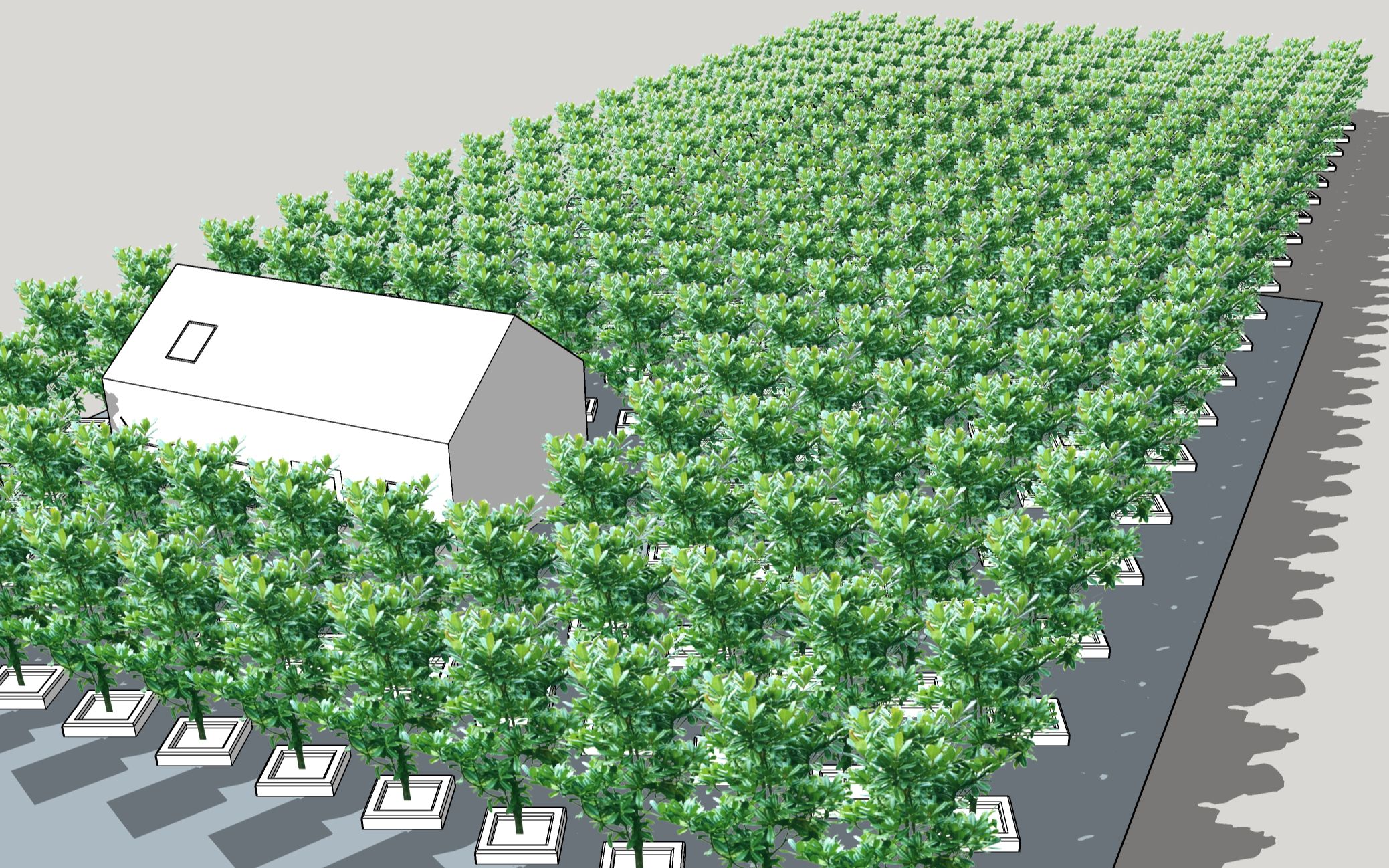 03.02-Sketchup二维树组件库的完整制作