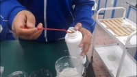 爱剪辑-培养细菌和真菌一般方法——汤博涵