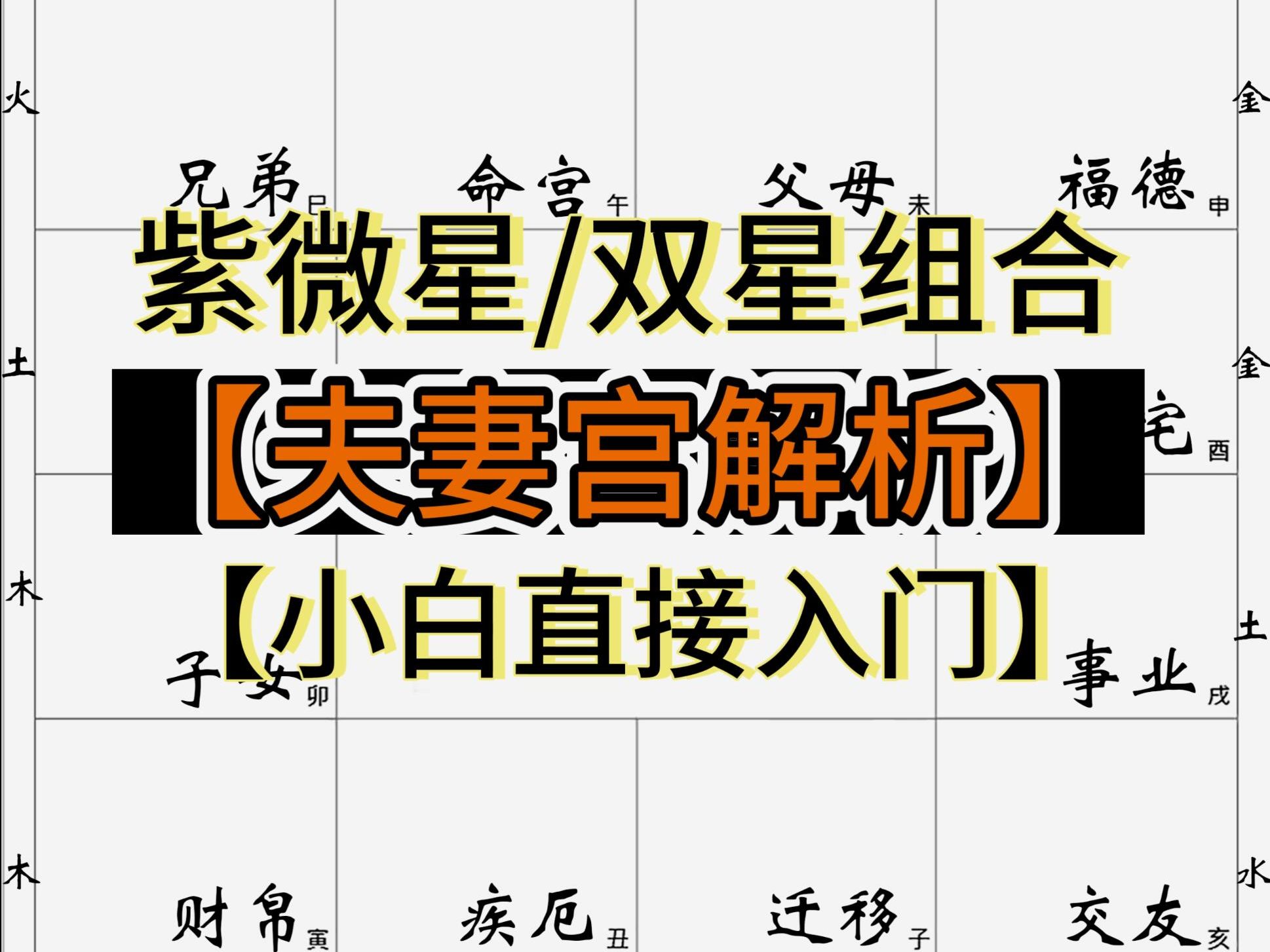 紫微星系.紫贪/紫破/紫杀/紫府/紫相入夫妻宫解析【小白进阶】【零...