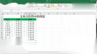 文本占位符的用法