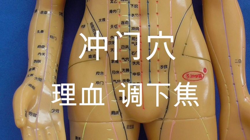 冲门穴主治:腹寒气满,腹中积聚疼,阴疝,妇人难乳,妊娠子冲心