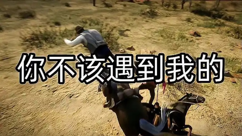 你不该遇到我的 荒野大镖客2