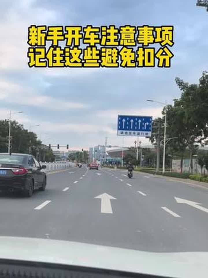 新手开车注意事项,记住这些避免被扣分 每天一个用车知识 ...