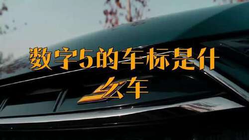 揭秘路上数字5车标!这些豪华品牌你认出几个?
