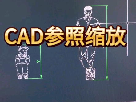 CAD参照缩放