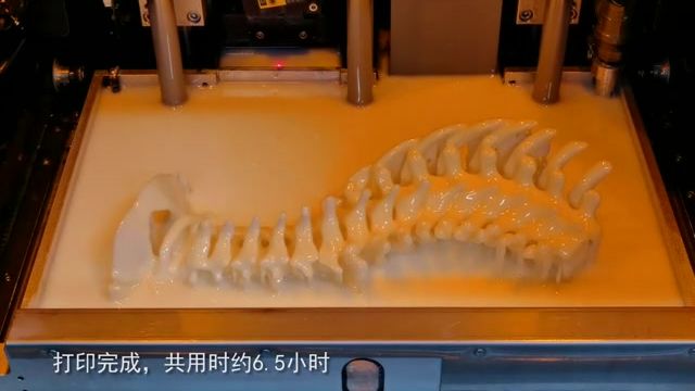 普利生RP-400M 3D打印机医用脊柱侧弯模型打印过程 #3D打印