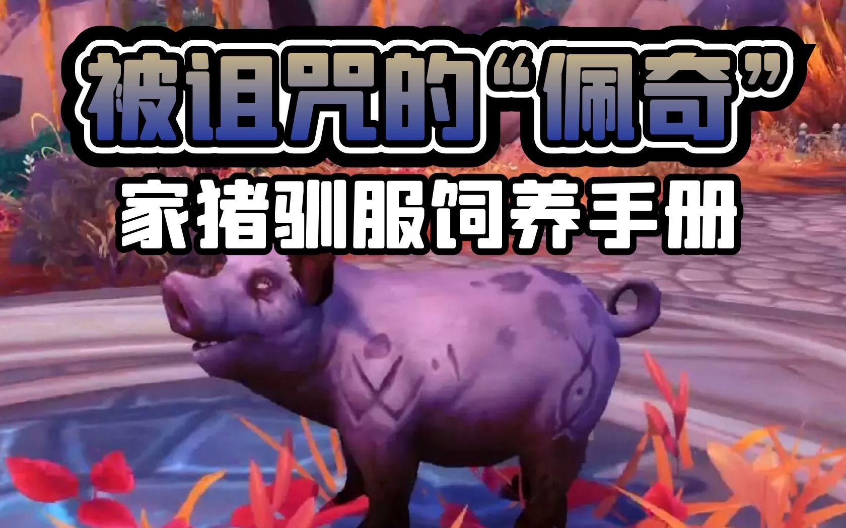 【老司机】被诅咒的“佩奇”家猪驯服饲养手册,猎人必备(魔兽世界...