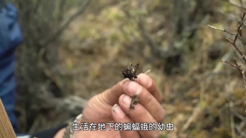 这些商品真的是智商税吗?一探究竟!科普涨知识有用内容创作计划