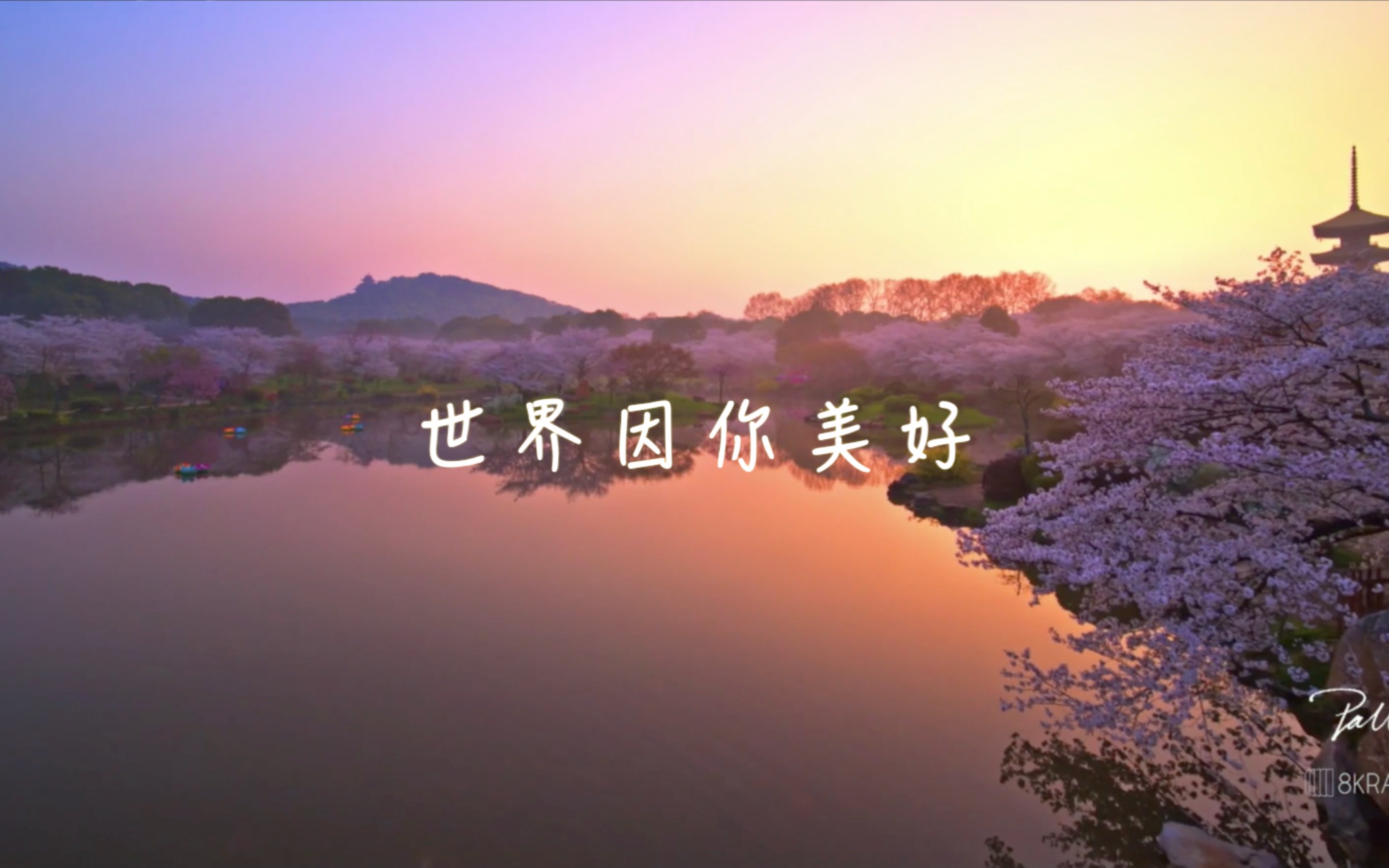 【翻唱】武汉加油!《你的答案》疫情应援版