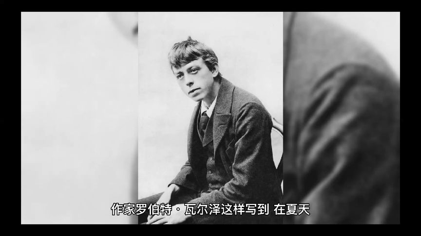 夏日文案,你更喜欢那一句呢?