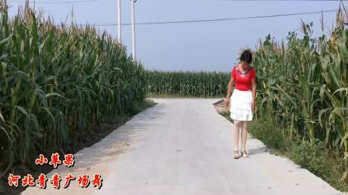 双人跳热歌神曲《小苹果》广场舞