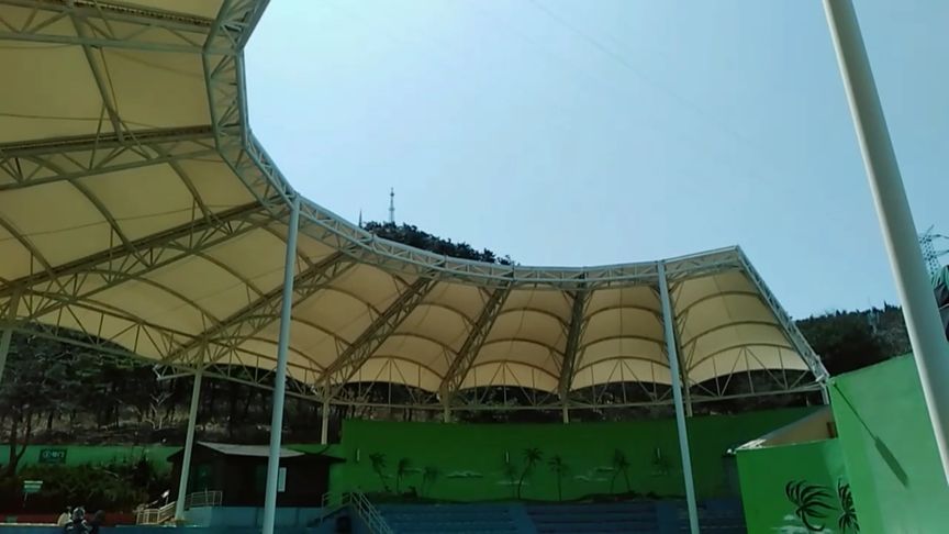 大象表演盛况,大连森林动物园