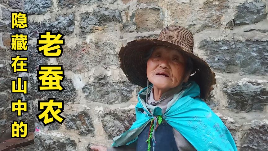 养蚕有哪些注意事项?听听蚕农奶奶怎么说!看完感觉受益匪浅啊!