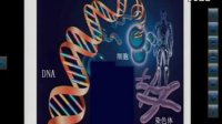 生命科学评比课--遗传信息的表达[莘格高中 严熙].