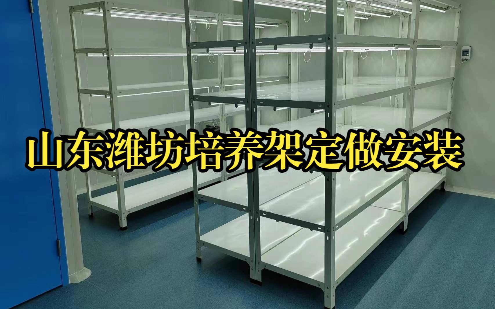 组培室规划设计,组培架定做,光照培养架,组培仪器设备,组培洗瓶机流水线