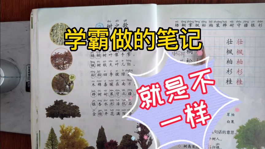 河南高考一分一段表让人心惊,突围要方法,湖北状元的笔记很有用