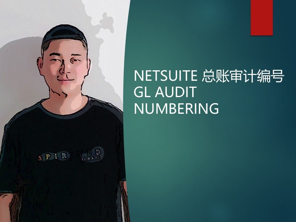 NETSUITE 总账审计编号 GL AUDIT NUMBERING