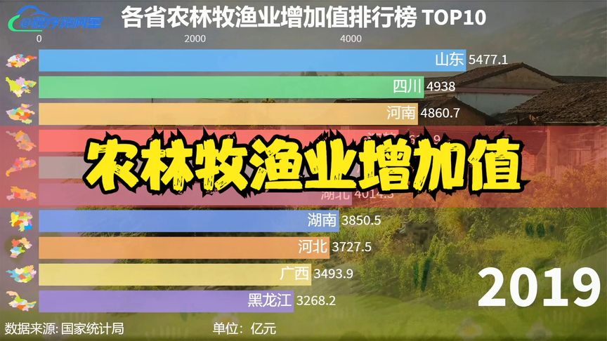 各省农林牧渔业增加值排行榜,山东领跑全国