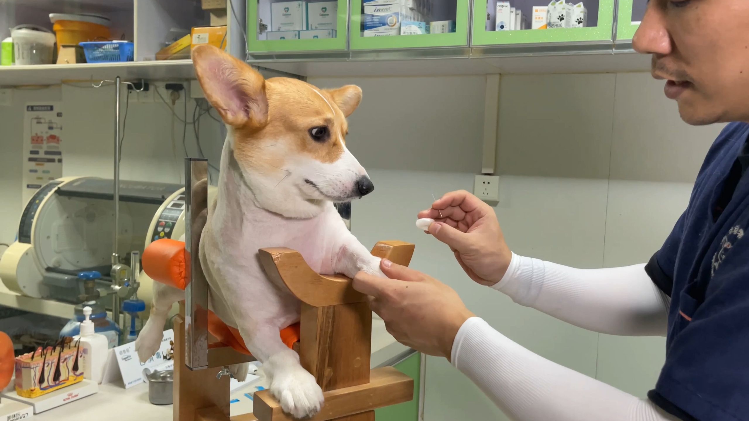 ...针灸经络穴位学习(从入门到精通)必看课程!列缺穴的定位与扎针手法