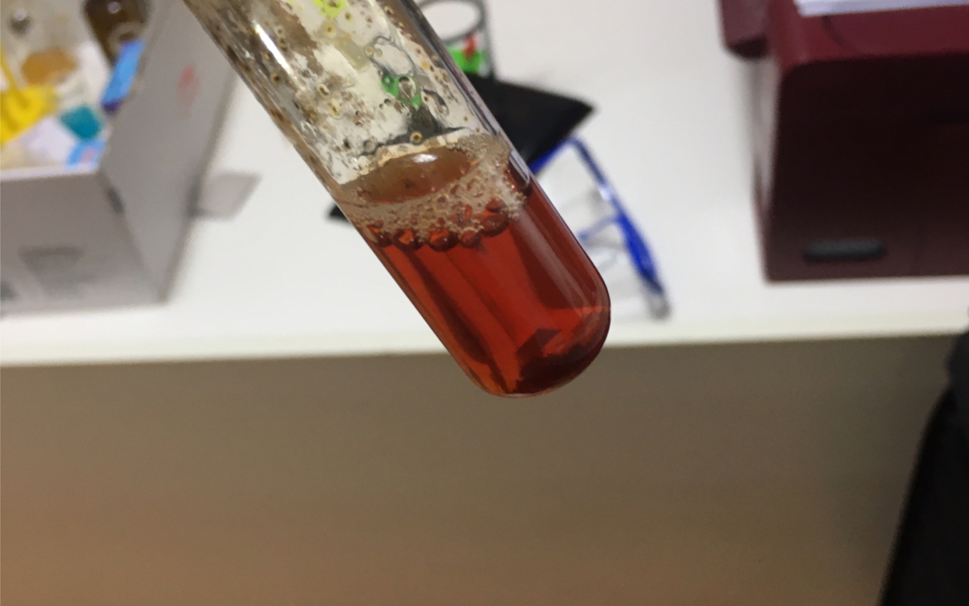 次氯酸与铁的反应