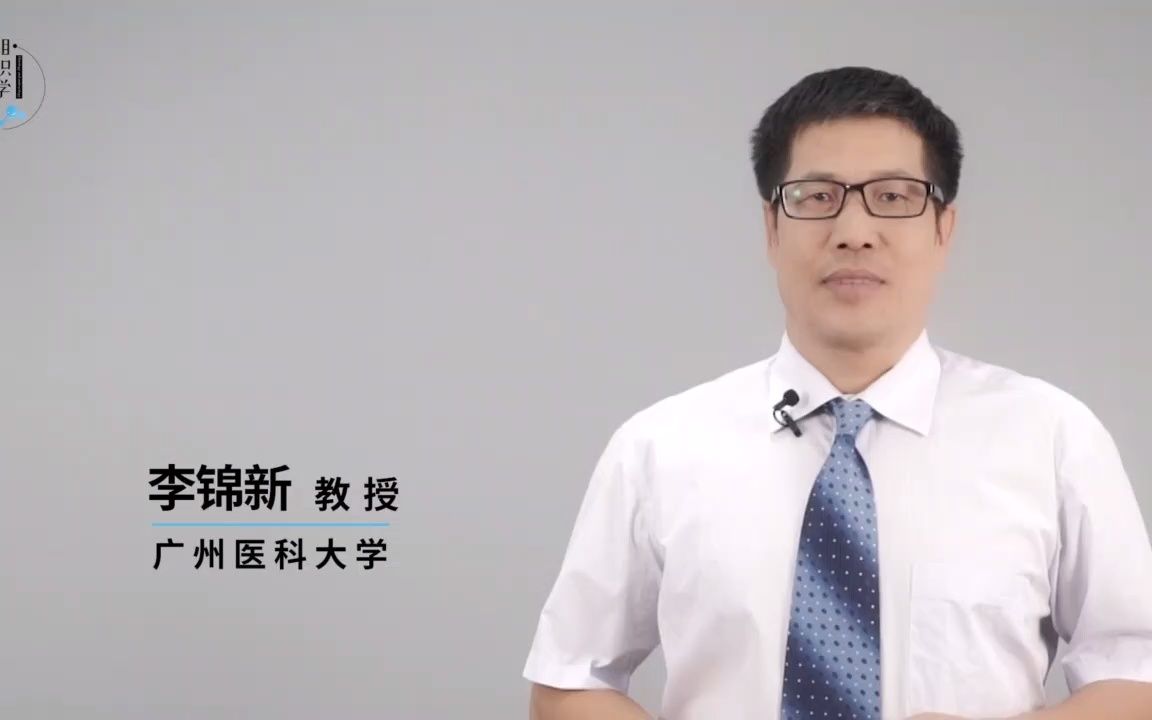 13.1 呼吸系统的组织结构