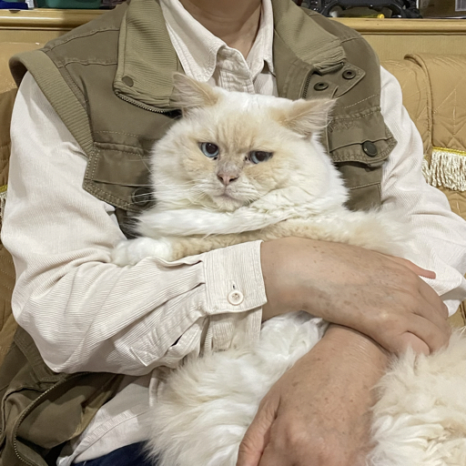 大江电工Master 