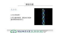DNA的复制导入教学设计