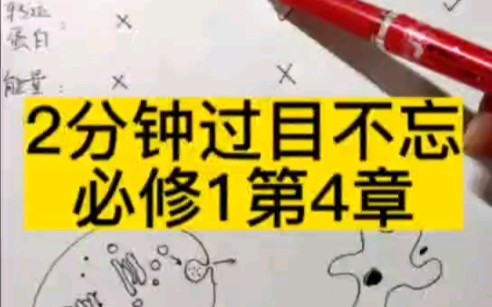 高一期中必看知识点