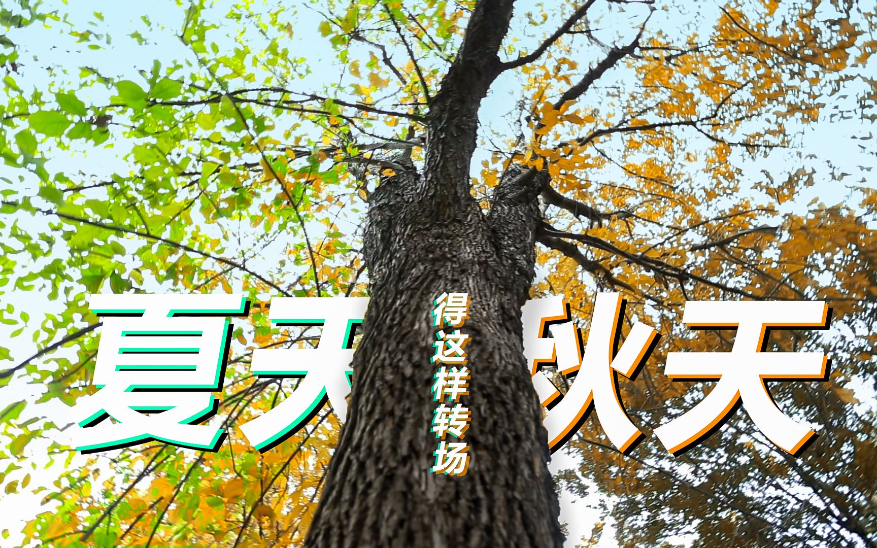 【ae转场教程】夏天变秋天,这效果应该比较真实了吧!