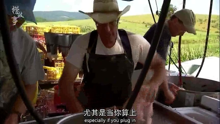 美国传统农场,这里的食品才是真正的放心食品