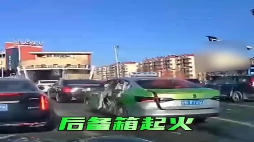 青少年"快成长计划"正面评价及青春娱乐创作与流浪猫关爱志愿活动...
