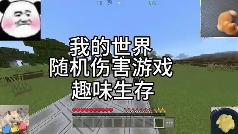 我的世界:我的世界随机伤害游戏,我能否和好友击败末影龙呢