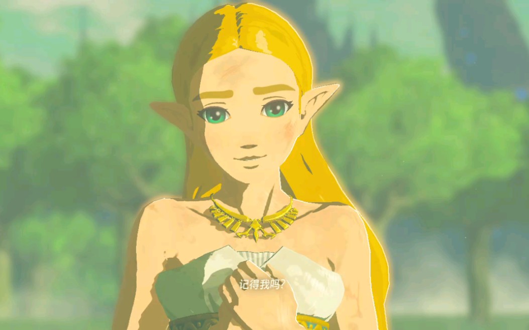 【塞尔达传说】林克:你还记得我吗? 公主:你谁啊你?!