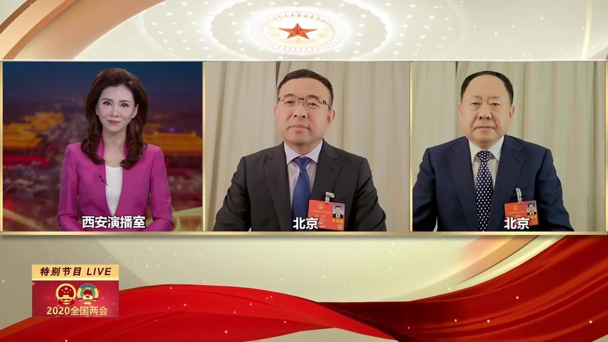 两会云访谈:全力保就业,更好惠民生