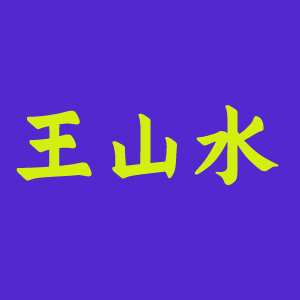 王山水读通鉴 