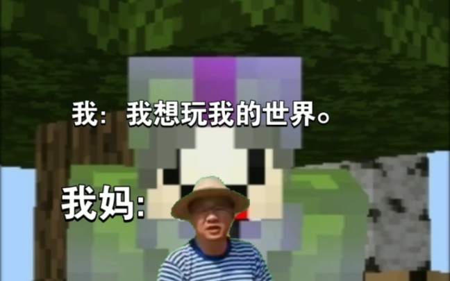 当我想玩我的世界时。