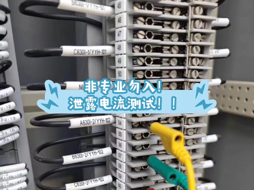 110kV避雷器运行电压下泄露电流测试