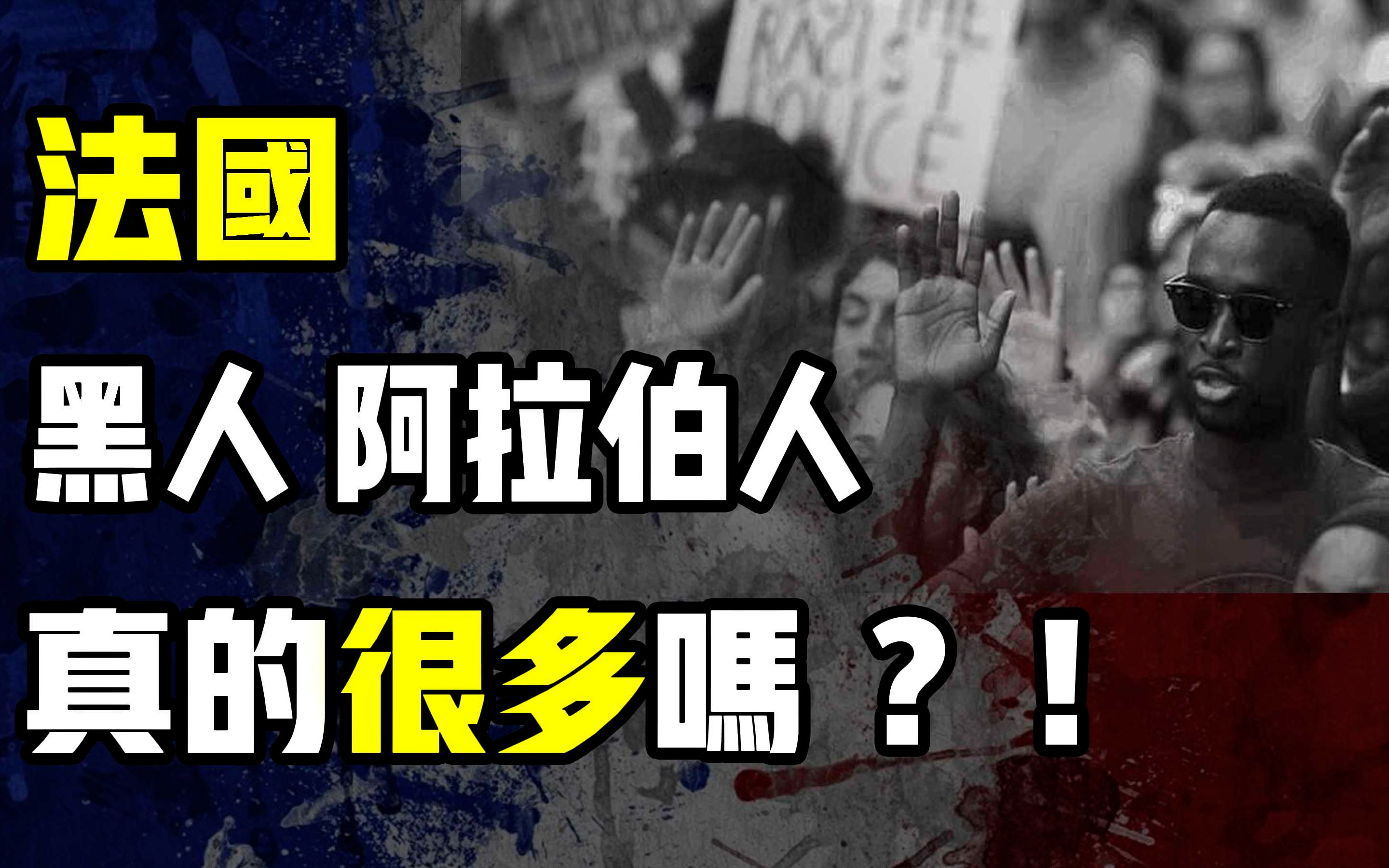 告訴你一個真实的法国 旅法二十年 法國黑人阿拉伯人多嗎 法國移民真相