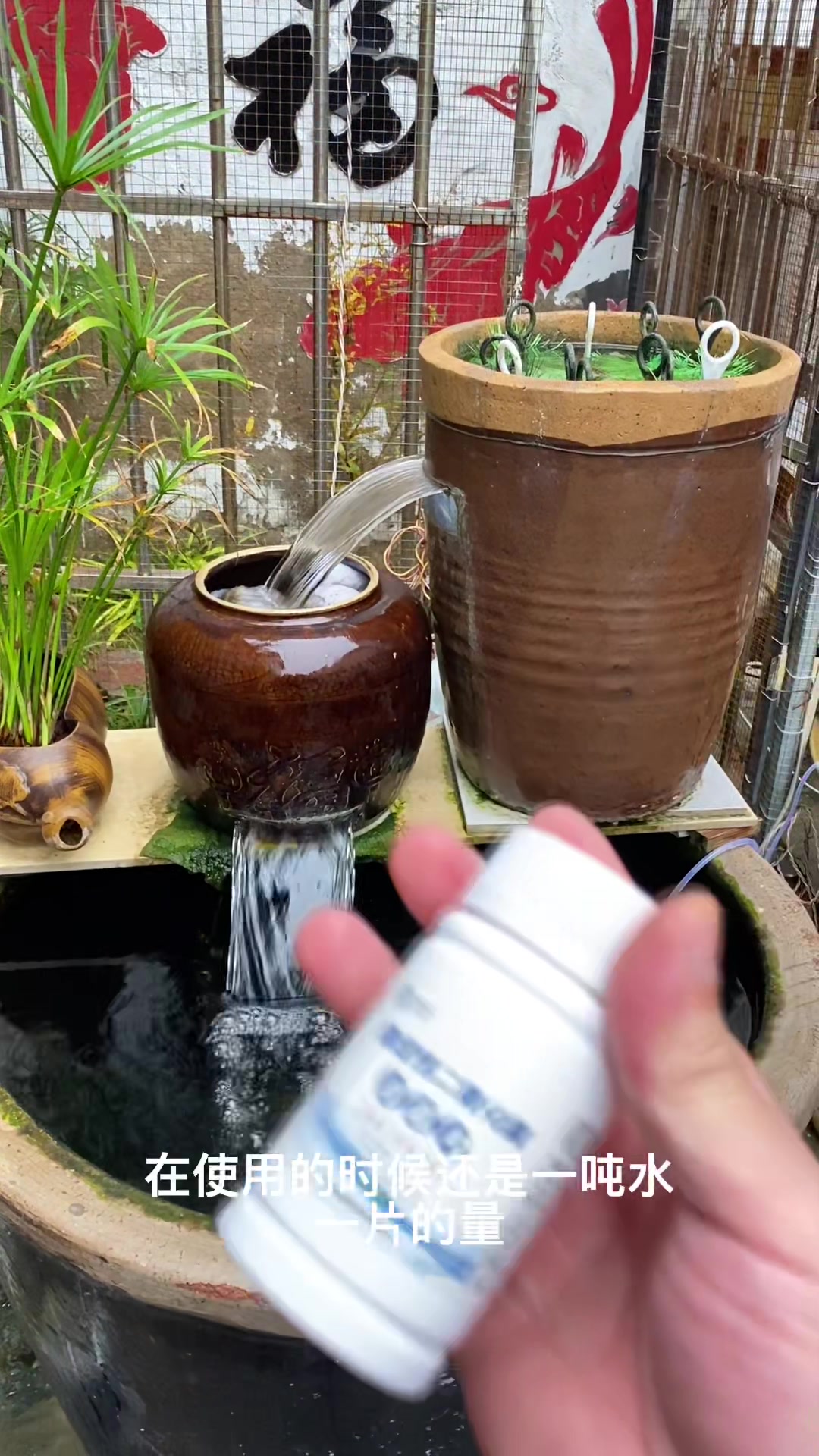 使用二氧化氯杀菌的时候,按着一吨水一片的量化开后泼洒,可以开过滤...