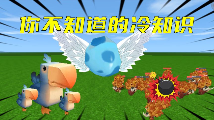 迷你世界:你不知道的冷知识,墩墩鸟的蛋竟然比炸弹的威力还大