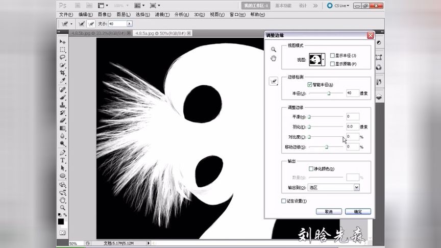 ps抠图中头发难抠?来试试调整边缘命令