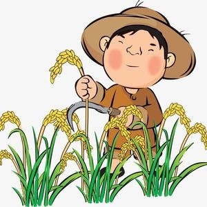 可可说三农
