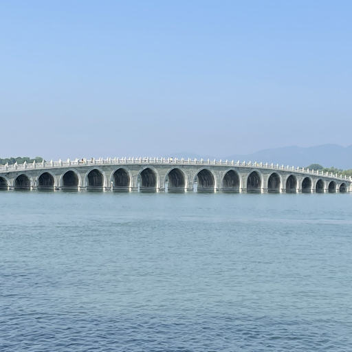 努力奋斗的花花们 