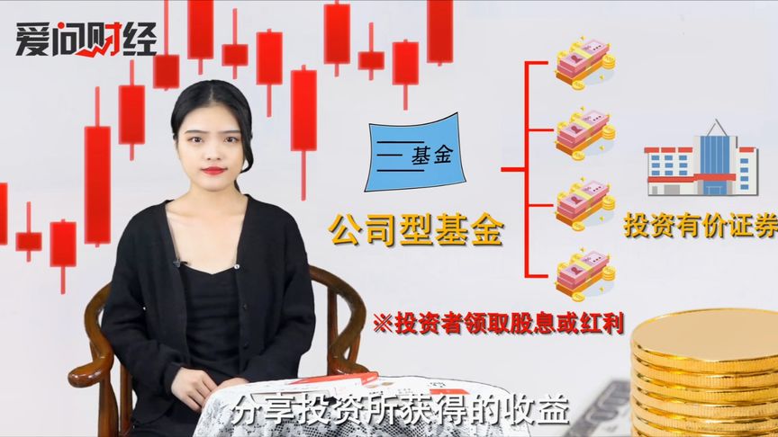 公司型基金都包含哪些法律性质,分别是哪几点?