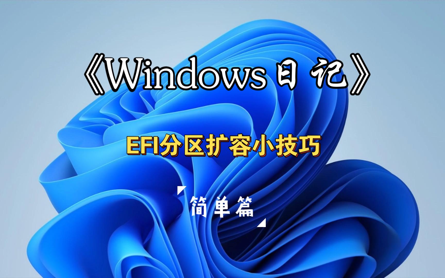 Windows系统如何扩容EFI分区的简单教程