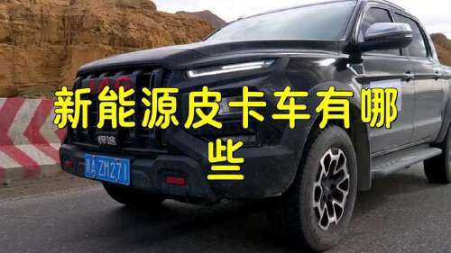 告别油老虎!这些新能源皮卡能装又省电,你会选谁?
