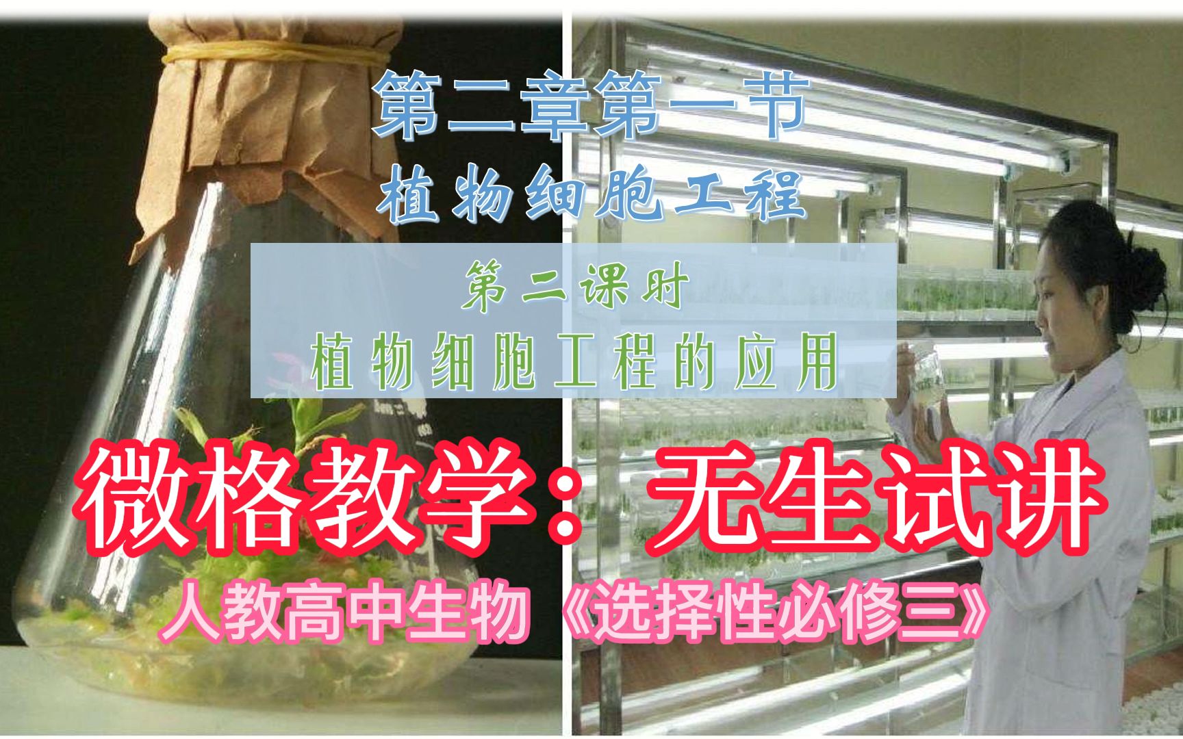 微格教学:高中生物;无生试讲:《选择性必修三》植物细胞工程。