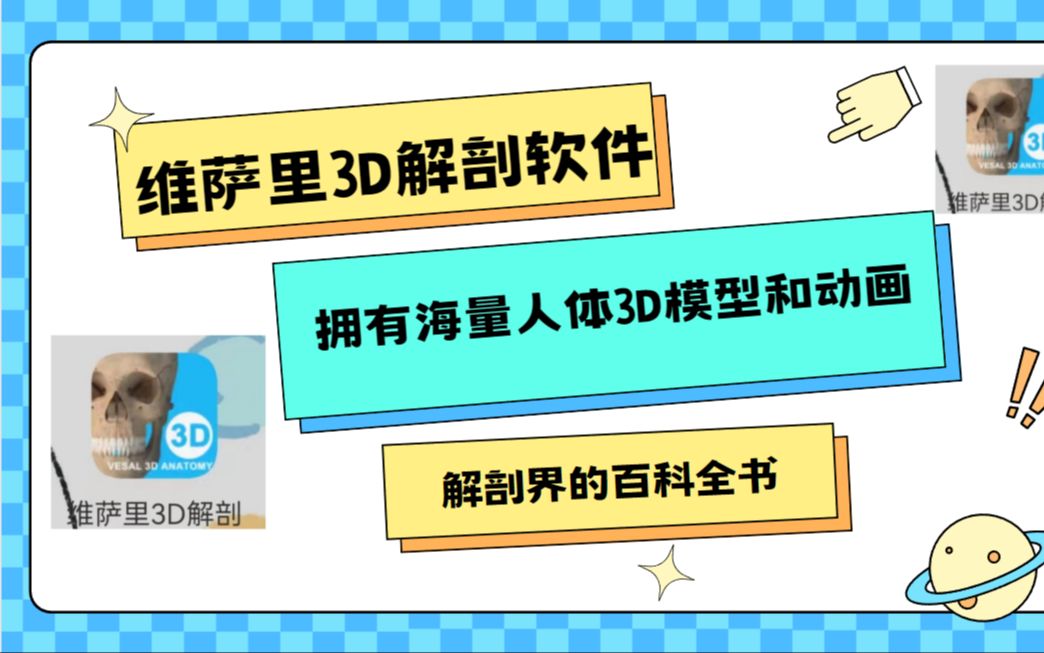 维萨里3D解剖软件,解剖界的“百科全书”,期末考试不愁了!