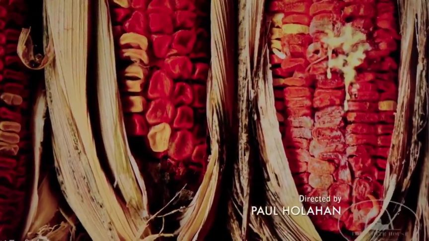 红色流感病毒 发生变异感染全球 导致人类面临绝种威胁 第四季01A