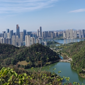 分散对冲再平衡 